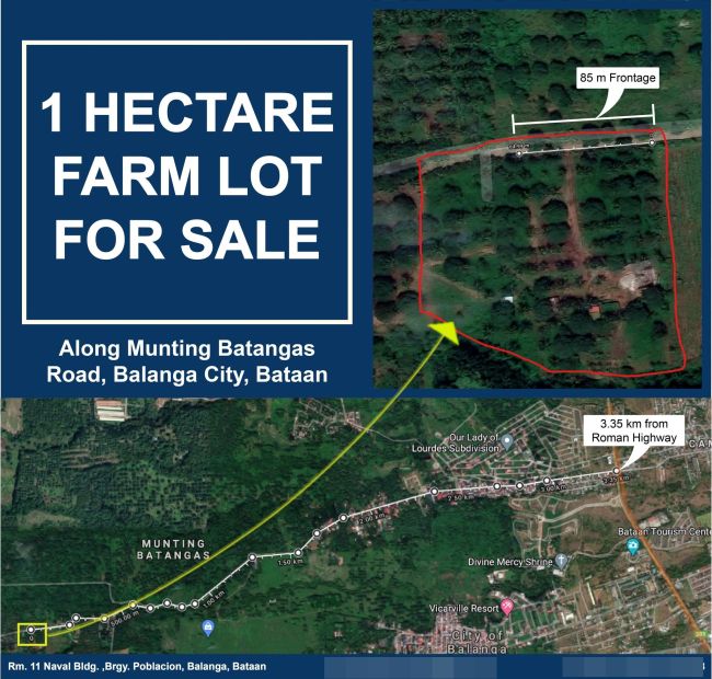 1 Hectare Farm Lot Munting Batangas Road Balanga City Bataan 1 Hectare Farm Lot Munting Batangas Road Balanga City Bataan
